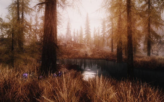 slow-ninja - Hobbyist, Filmographer | DeviantArt