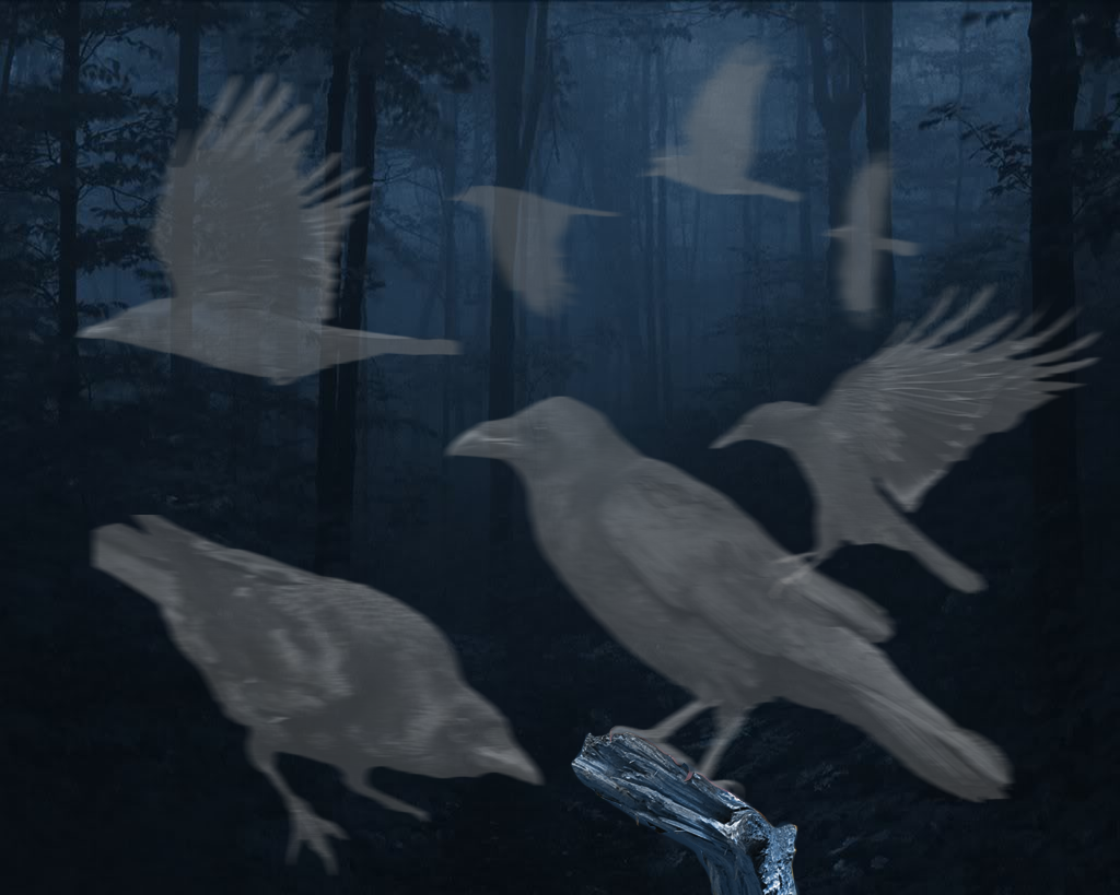 Ghost Crows by AndoAnimalia on DeviantArt