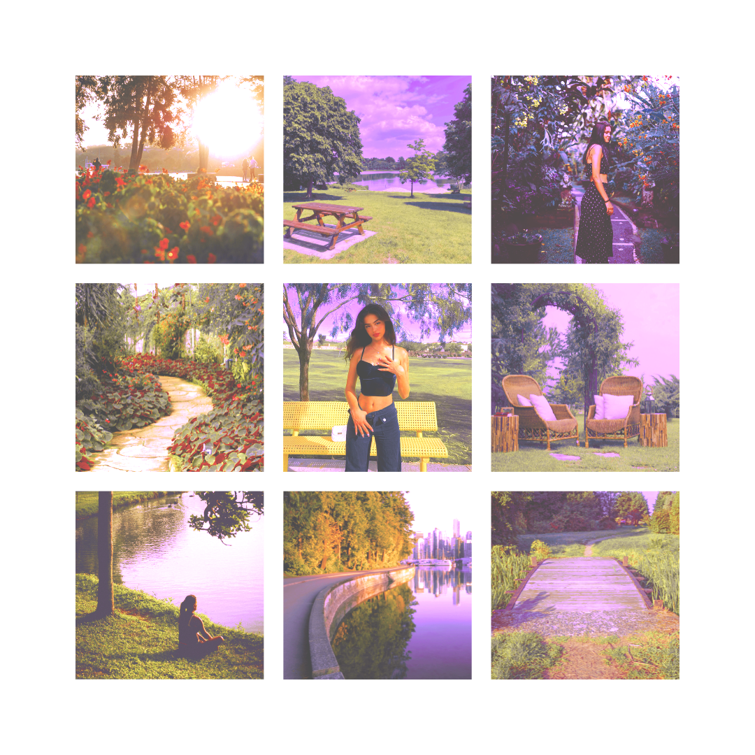 VIOLET DELIGHTS. by chresmology on DeviantArt