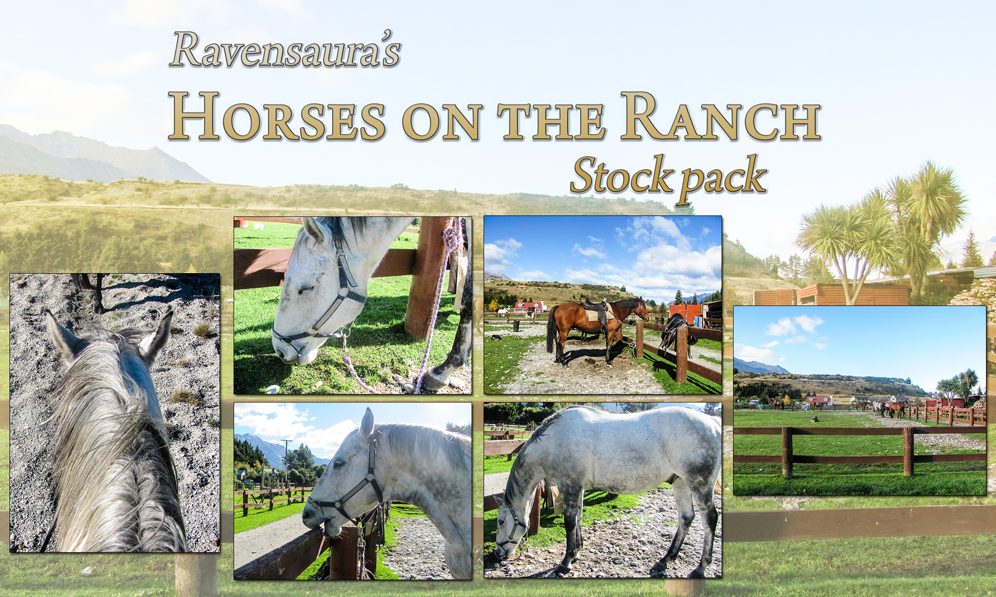 Low Res - Horses on the Ranch Stock Pack by Ravensaura-Stock on DeviantArt