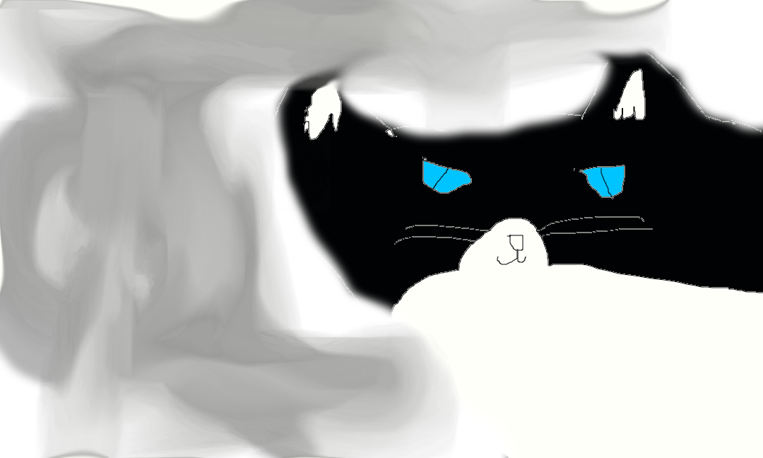 Commison 10 by rainbowcoyotecat on DeviantArt