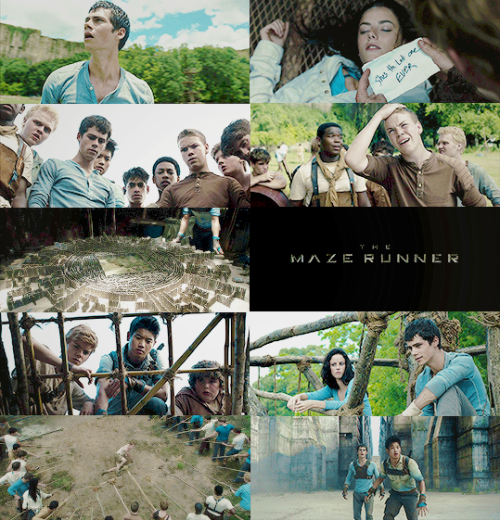 the maze runner [psd] by maryaciolli on DeviantArt