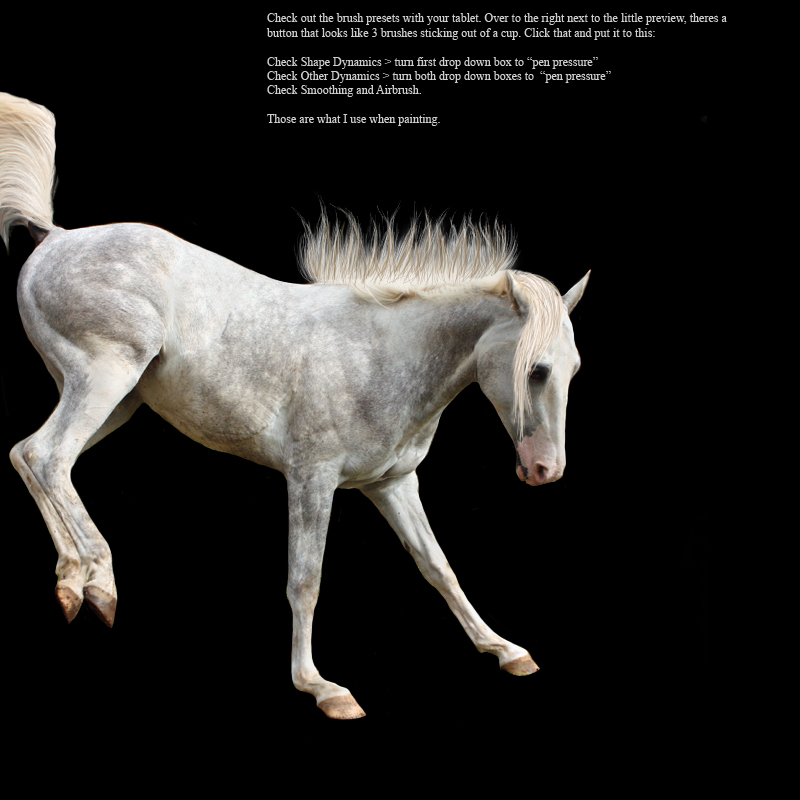 Mane Drawing Walkthrough .PSD by FrenziedStudios on DeviantArt