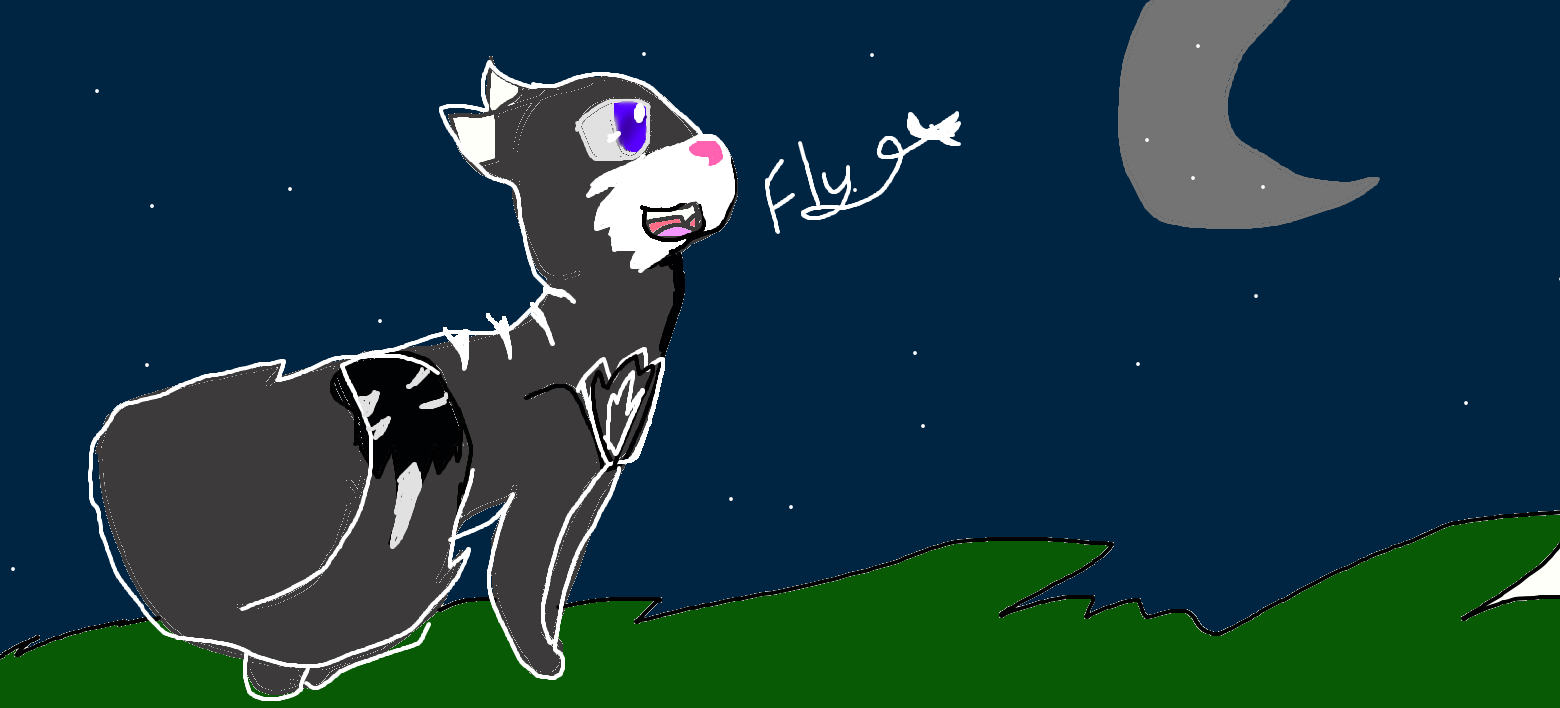 Fly~ Oc drawing by Kingsmii on DeviantArt