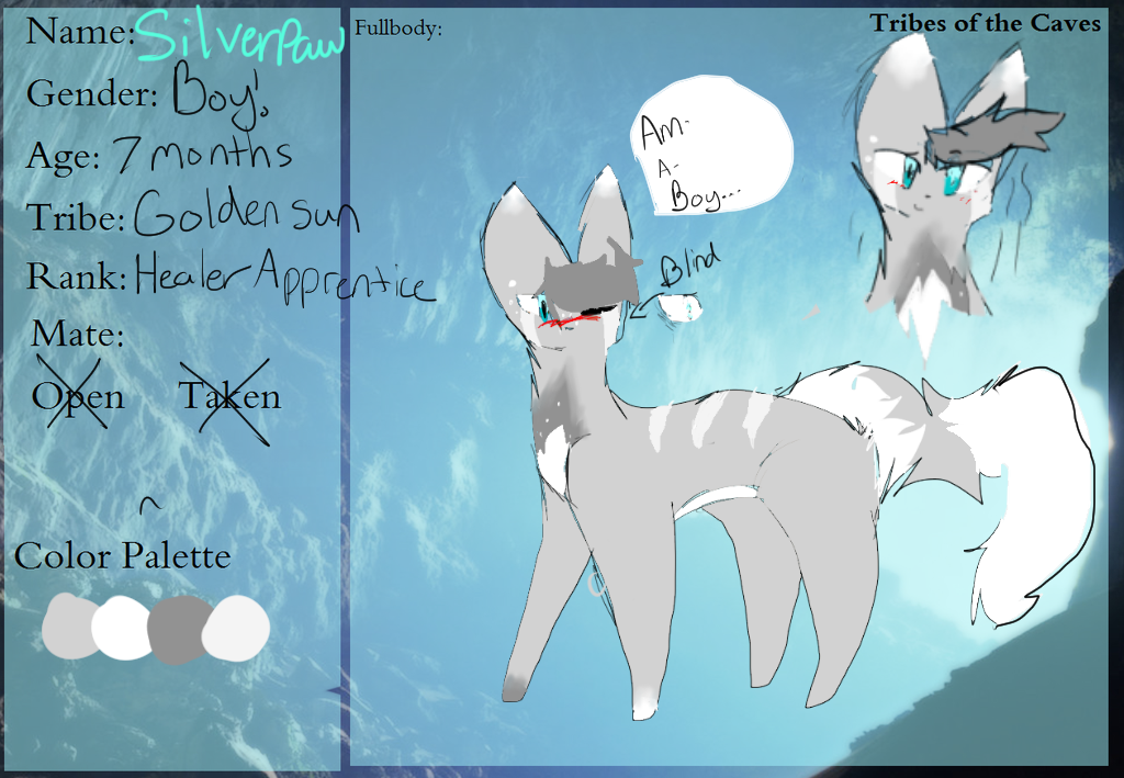 Silverpaw by Kingsmii on DeviantArt