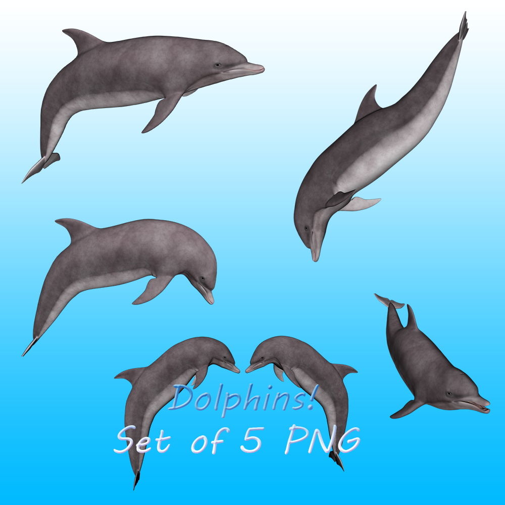 Dolphins by Shades-Of-Rage on DeviantArt