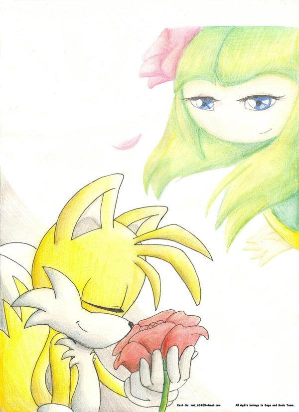 Tails and Cosmo The movie 2 by undertaker62 on DeviantArt
