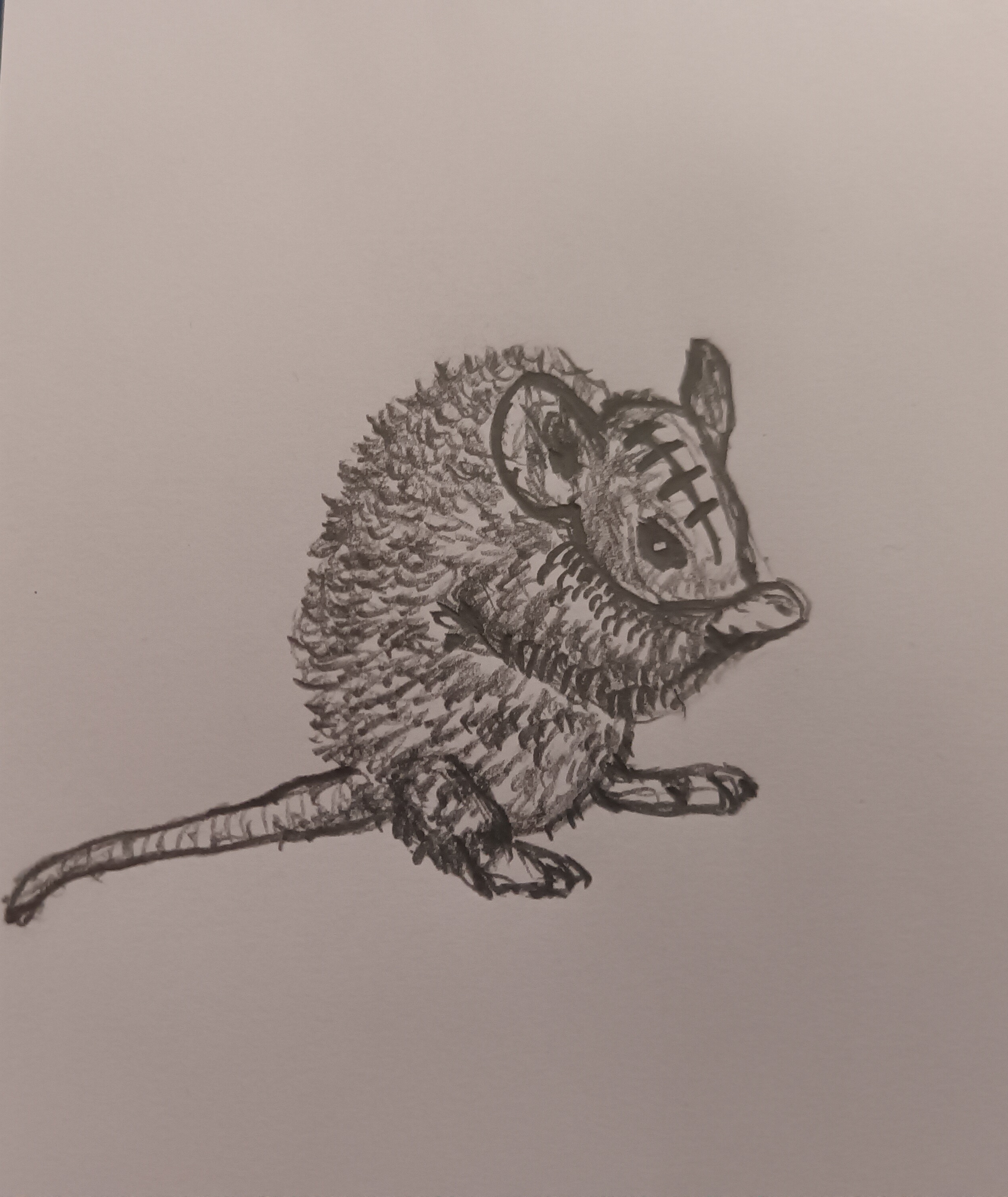 Labrat by AgyGuru on DeviantArt