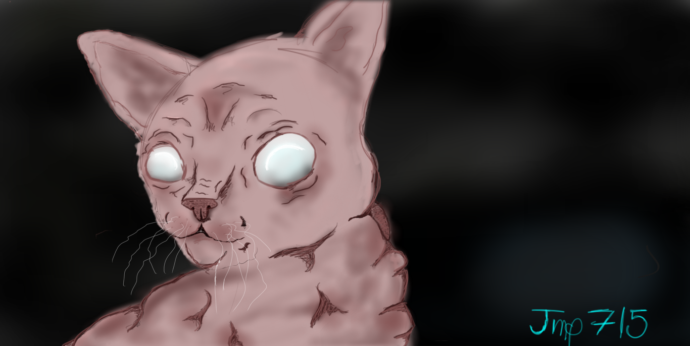 Rock Warrior Cats by jmp715 on DeviantArt