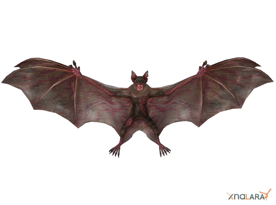 REUC - Zombie Bat by deexie on DeviantArt