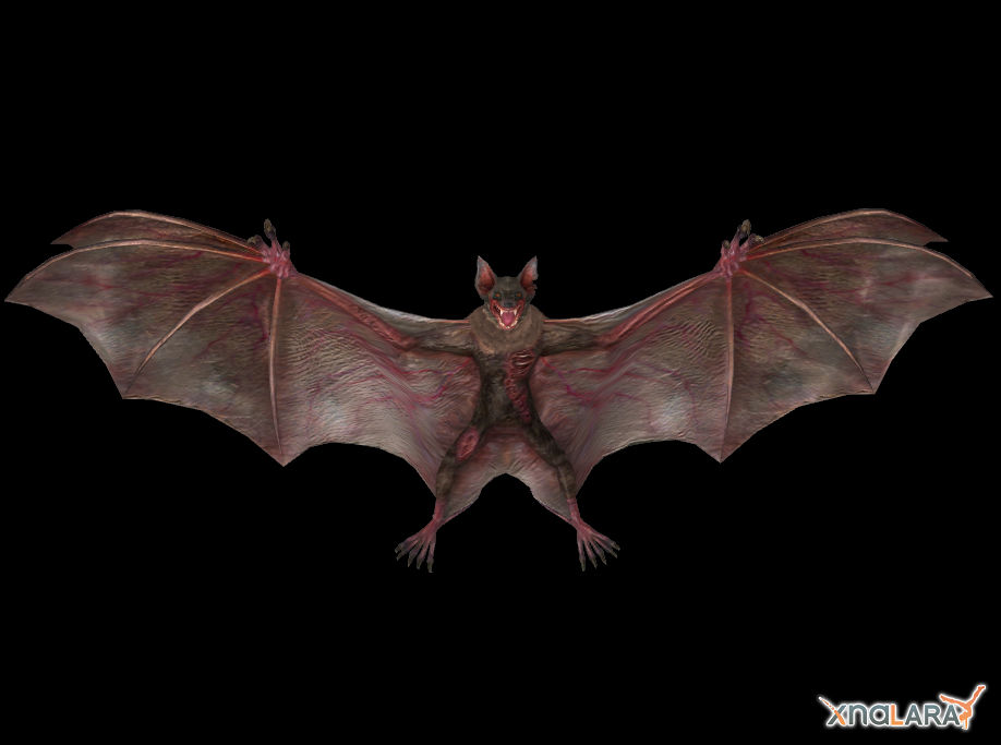 REUC - Zombie Bat by deexie on DeviantArt