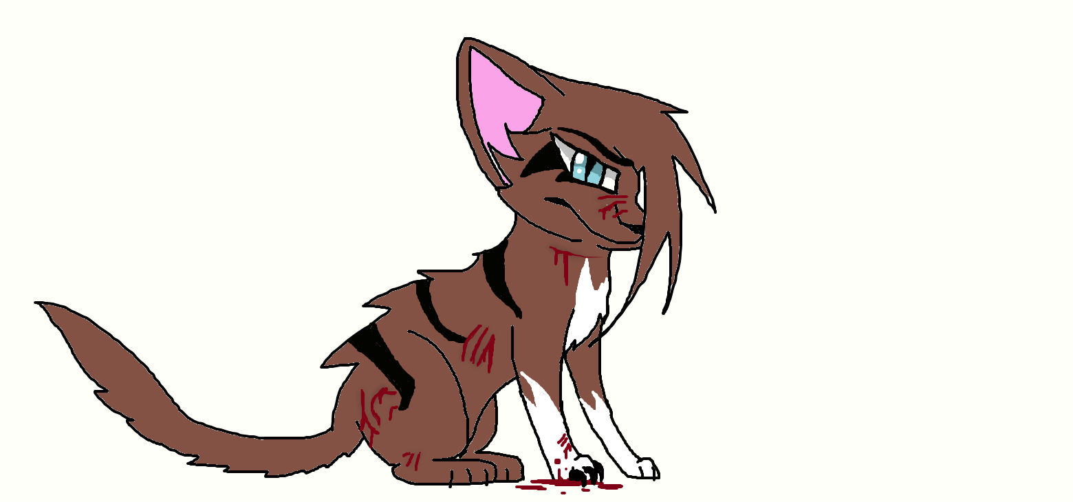 Hawkfrost doodle by xXSolarcupcakeszXx on DeviantArt