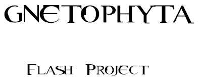 Gnetophyta by Linkgcn64 on DeviantArt