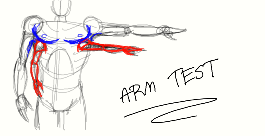 Four Arm Anatomy Test by InkyOculus on DeviantArt