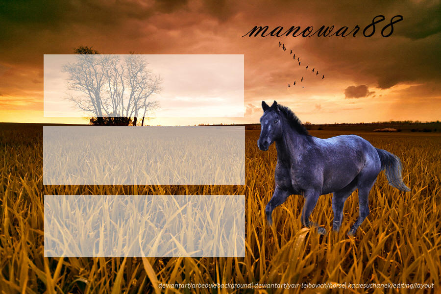 No Mans Land + Horse + Text Box + Manowar88 by kaciesuchanek on DeviantArt