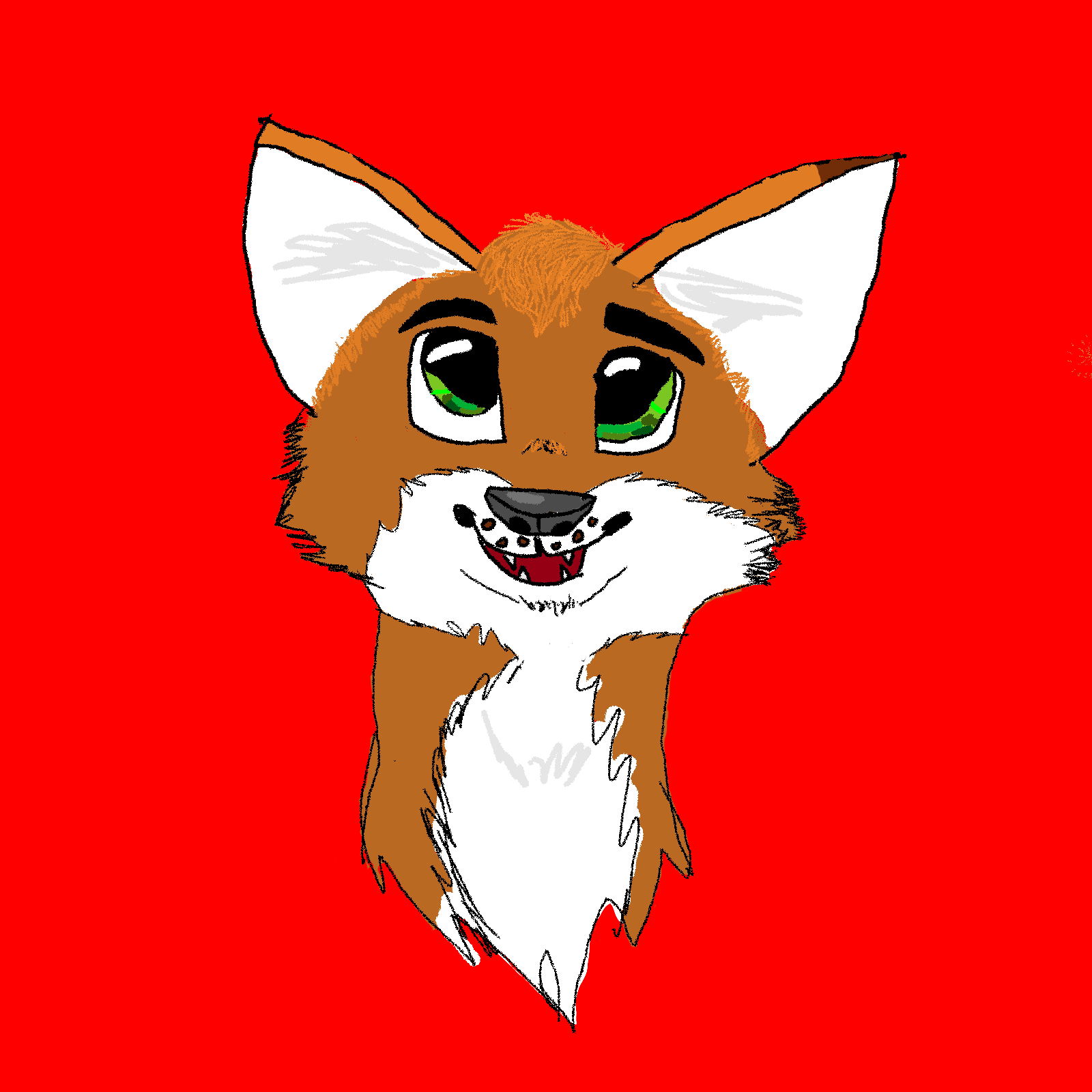 scruffy the fox by coolwolfdog on DeviantArt