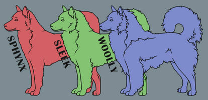 HFA June Hunt Trial 2025 by MidnightAyaDARPG on DeviantArt