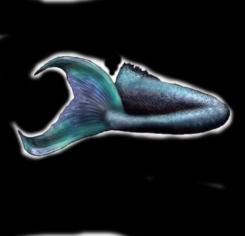 Mermaid tail by bubblypopped on DeviantArt