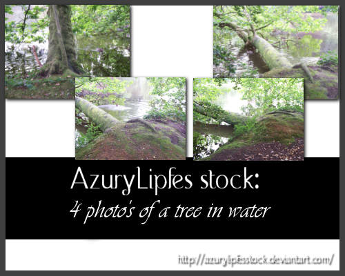 tree hanging over water pack by AzurylipfesStock on DeviantArt
