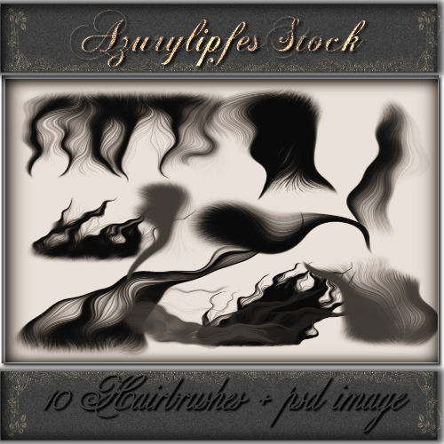 psp hairbrushes2 by AzurylipfesStock on DeviantArt