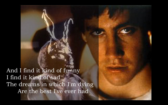 Donnie by M-chelle on DeviantArt