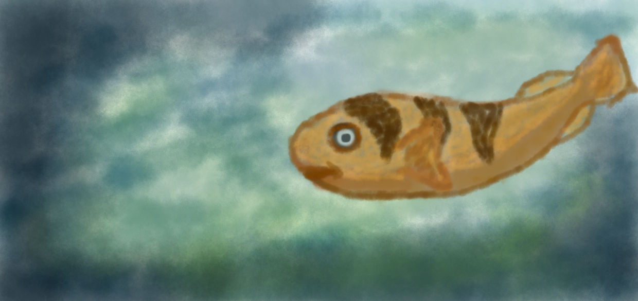 Pufferfish by JordiePi on DeviantArt