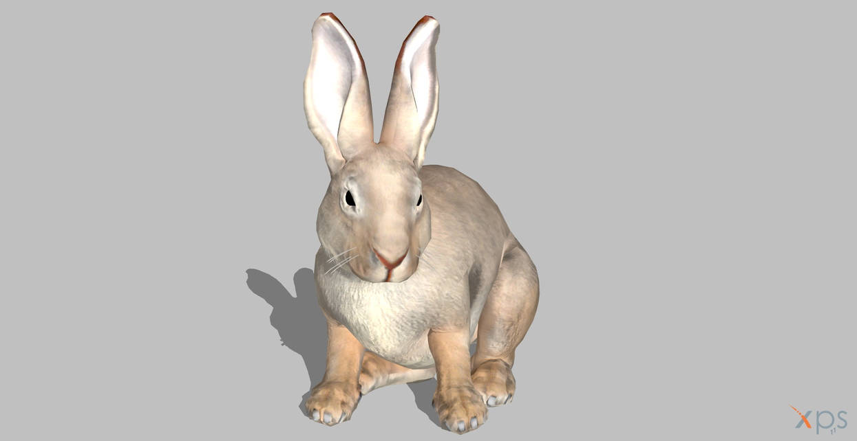 DOOM Eternal Daisy by BlinkJisooXPS on DeviantArt