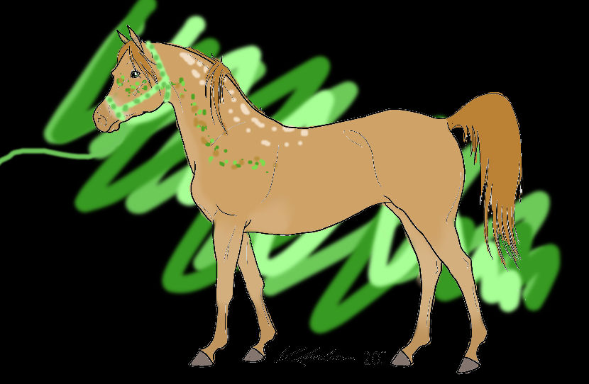 Lady Luck by DarkestNation on DeviantArt