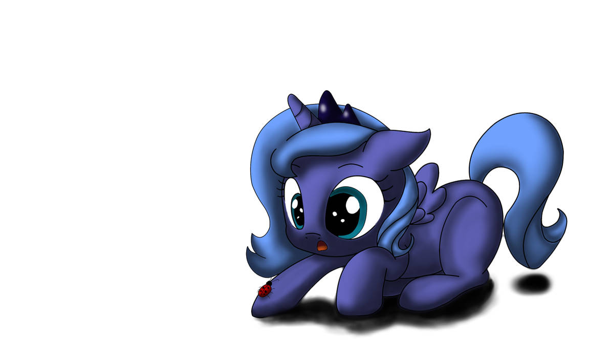 woona wooks at a wady bug by altalector on DeviantArt