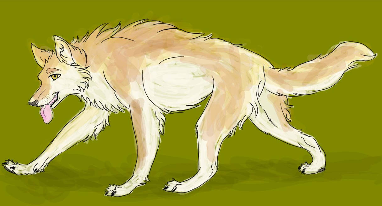 Blonde Wolf by 13lexwolf on DeviantArt
