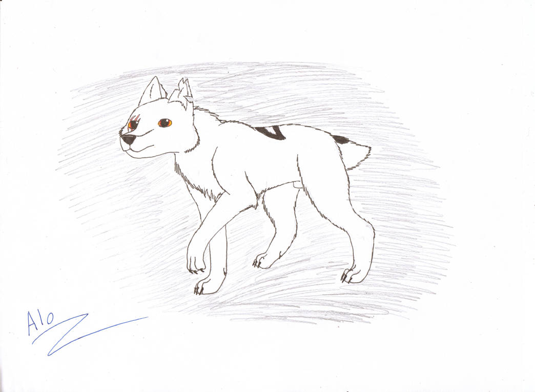 Character- Alo (Bloody Paws) by Rubbajackal on DeviantArt