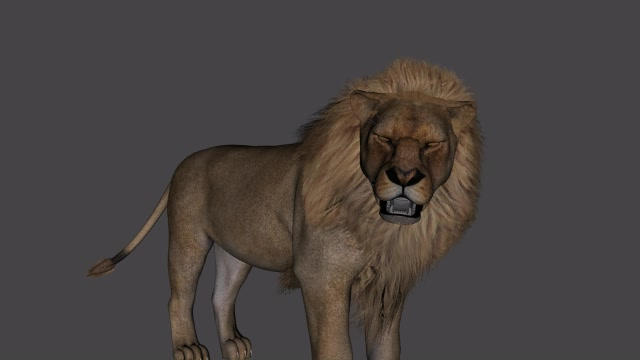 Daz Lion Test Video by Doctor-Why-Designs on DeviantArt