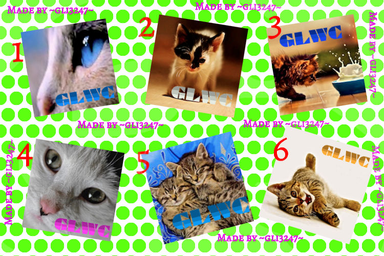 Potential Profile Pics for GLWC by glifire on DeviantArt