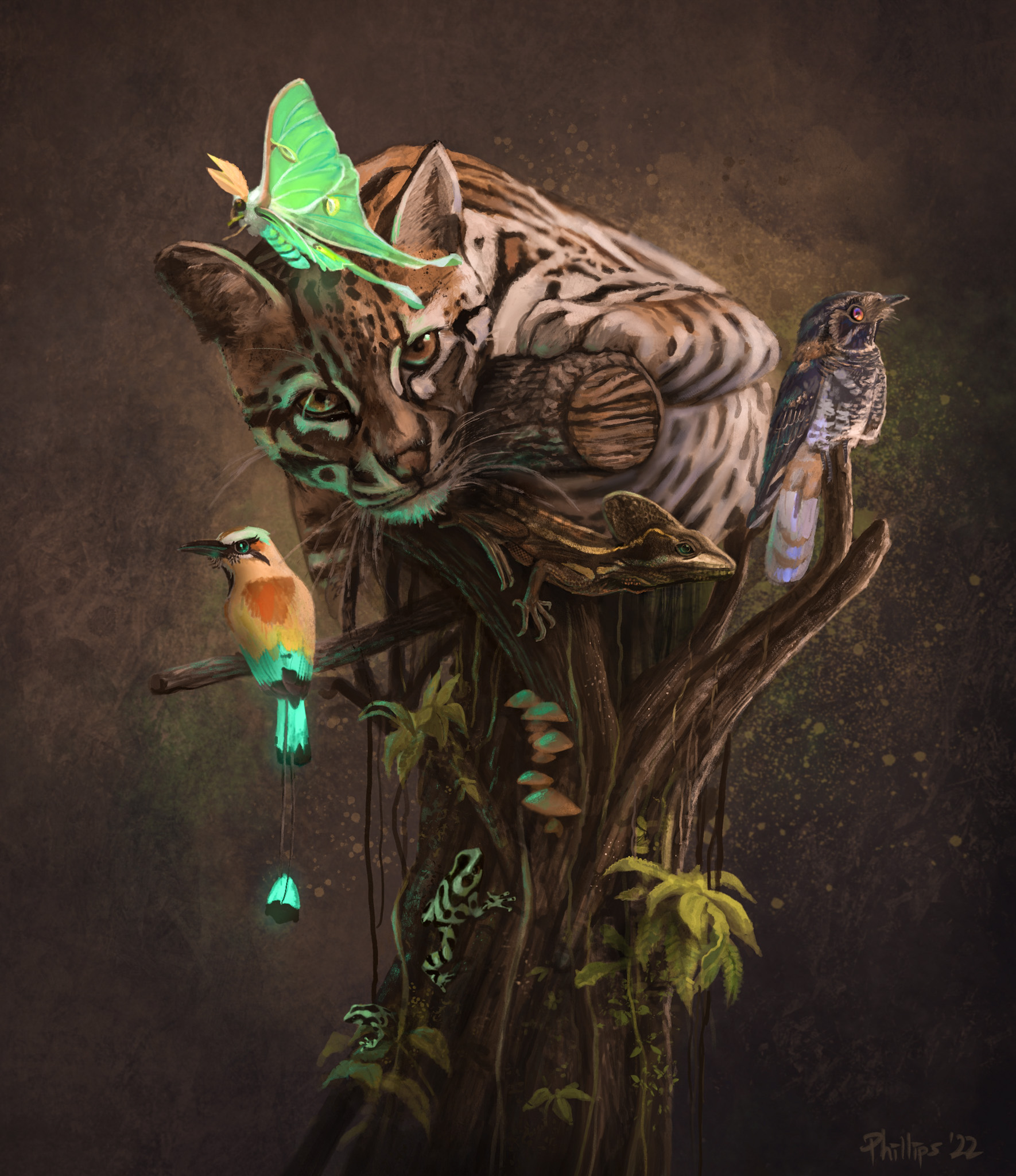 Sak Xikin by patricktphillips on DeviantArt
