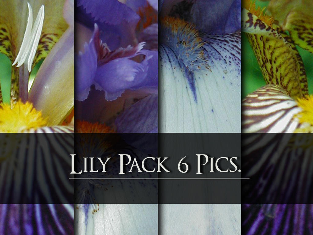 Lily Pack 01 by Eve-the-Angel1399 on DeviantArt