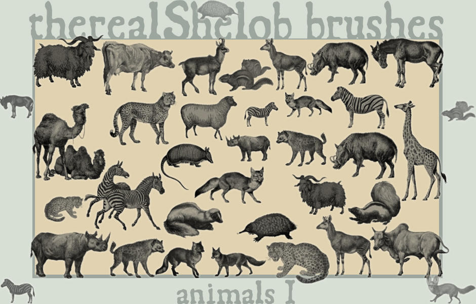 my brushes: Animals I by therealShelob on DeviantArt