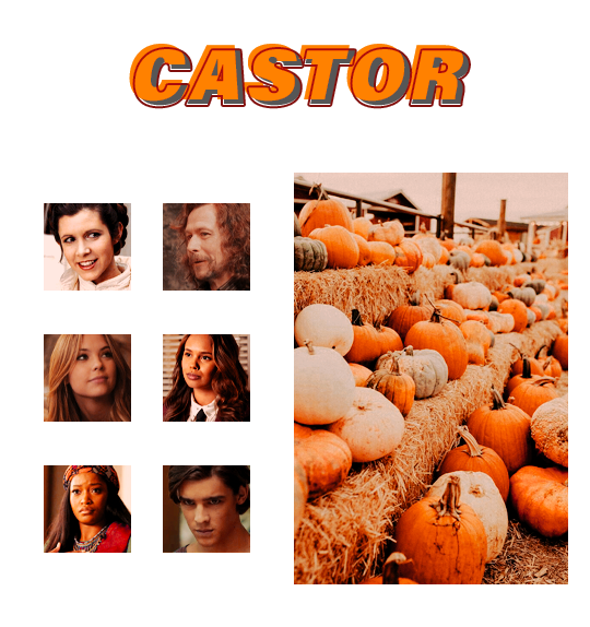 PSD 004: Castor by poohsources on DeviantArt