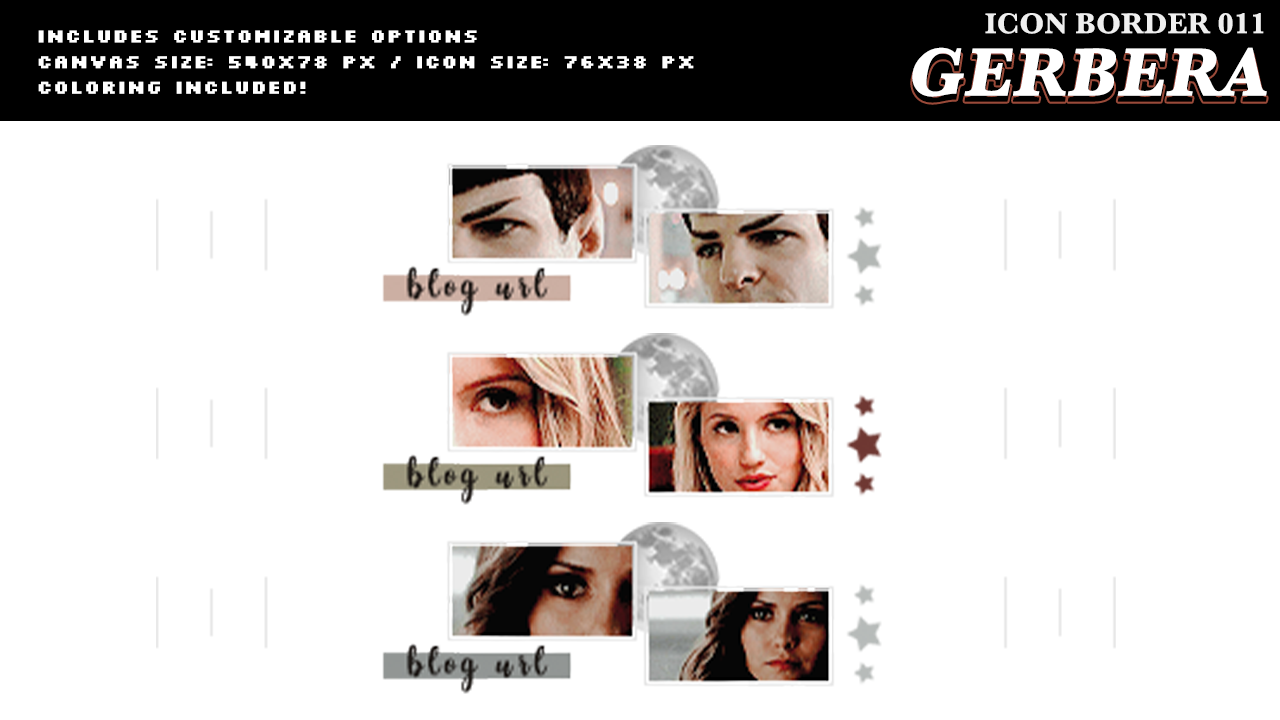 ICON BORDER 011: gerbera. by poohsources on DeviantArt