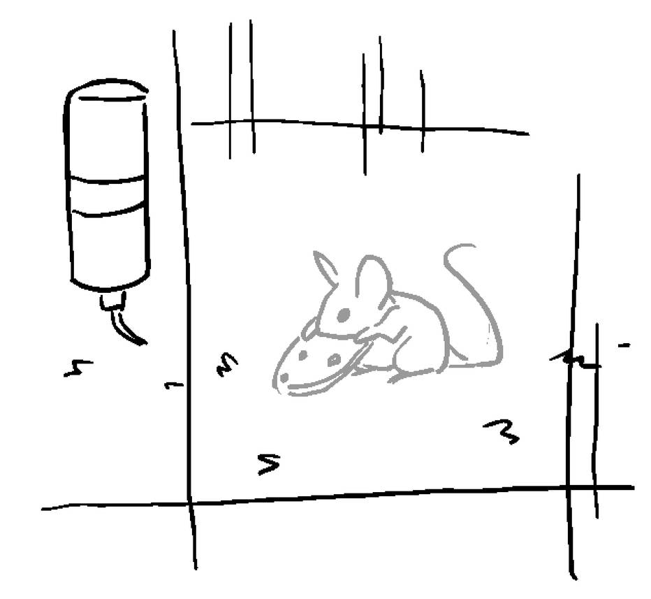Mouse animation by S-M-Batty on DeviantArt