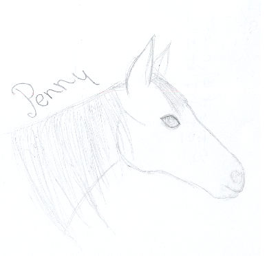 Penny Sketch by muhulah on DeviantArt