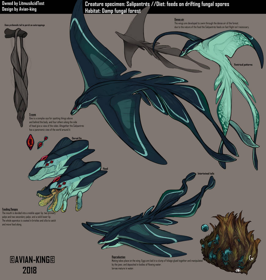 Creature Specimen: Salipantres by Avian-king on DeviantArt