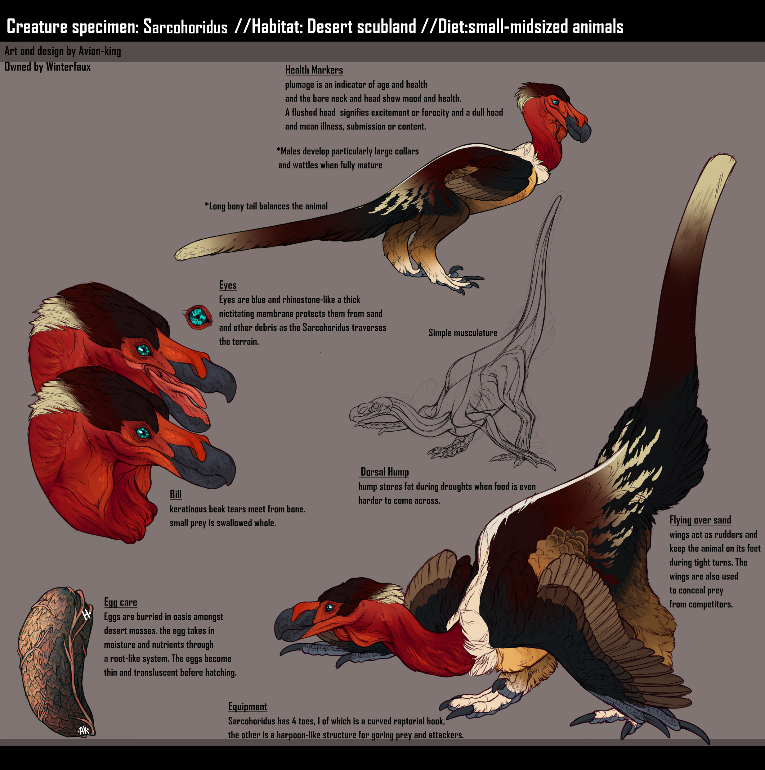 Creature specimen: Sarcohoridus by Avian-king on DeviantArt