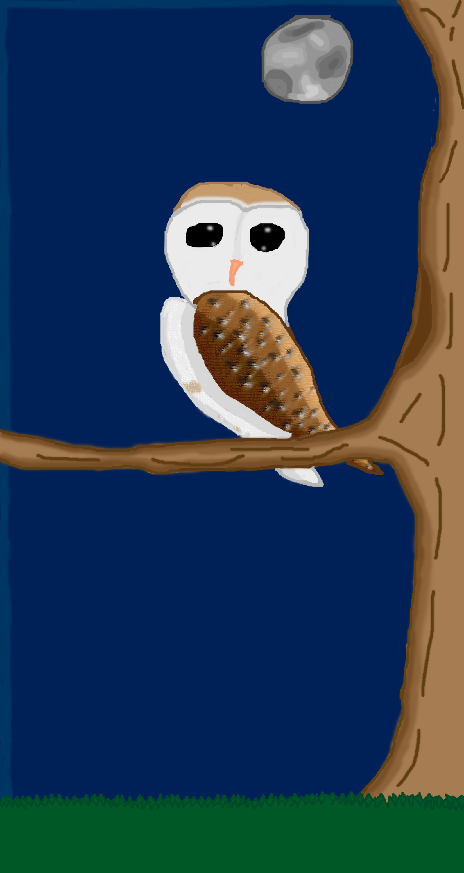 Barn Owl by Kanote on DeviantArt