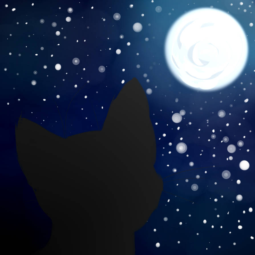The Lost Stars: Intro and Allegiances by Autumnlily00 on DeviantArt