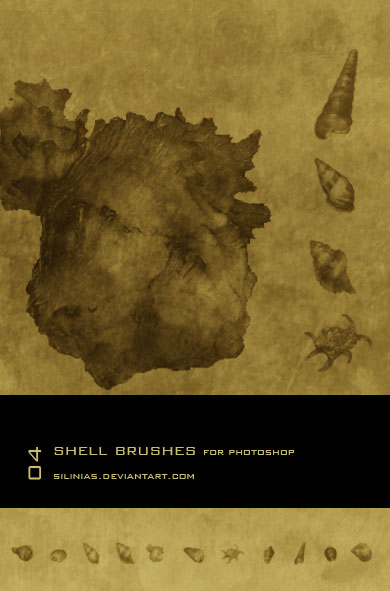 Shell Brushes PS - 01 by silinias on DeviantArt