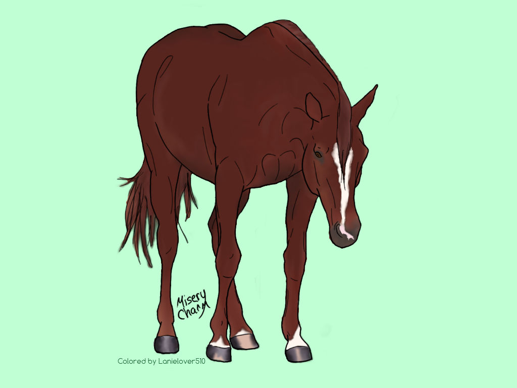 Chestnut Horse by Lanielover510 on DeviantArt