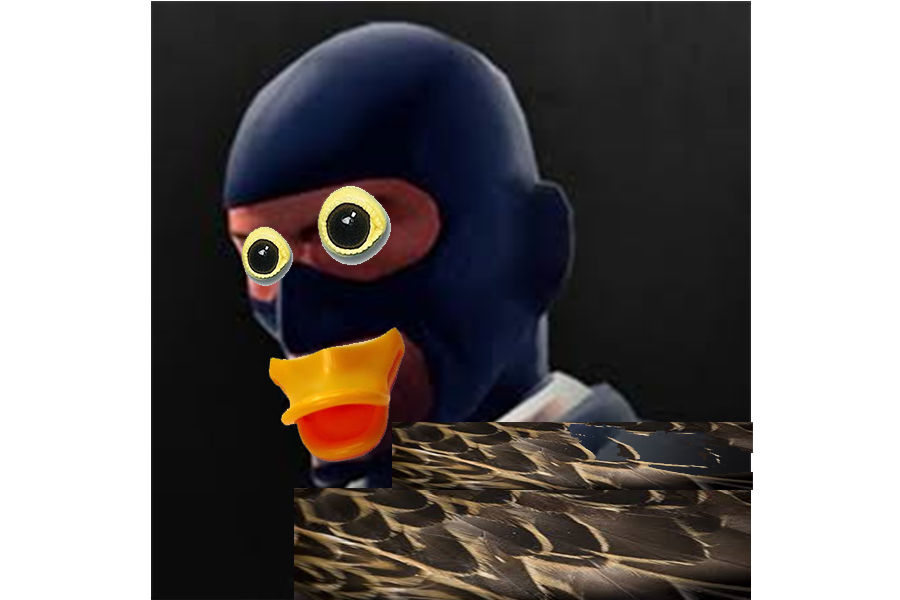 Duck by voidgameing on DeviantArt