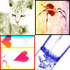 12 50X50 avatars by TheWitch-art on DeviantArt