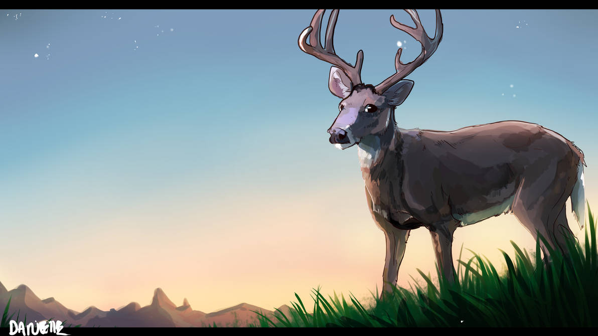 Deer by WereWolfStrike7 on DeviantArt