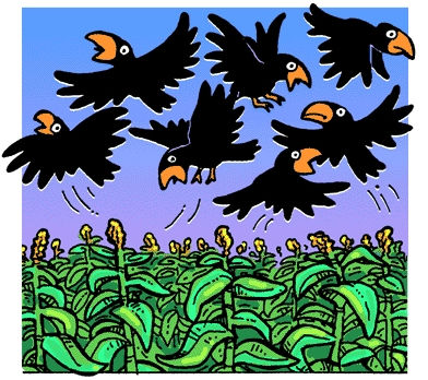 Addie And The Crows by Jidic on DeviantArt